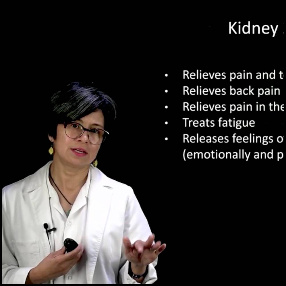 Bridge - Projects Page - eLearning Technologies - Grand Valley State ...